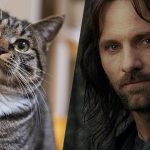 QUIZ: Is This a Tolkien Character, or Something My Cat Typed While ...
